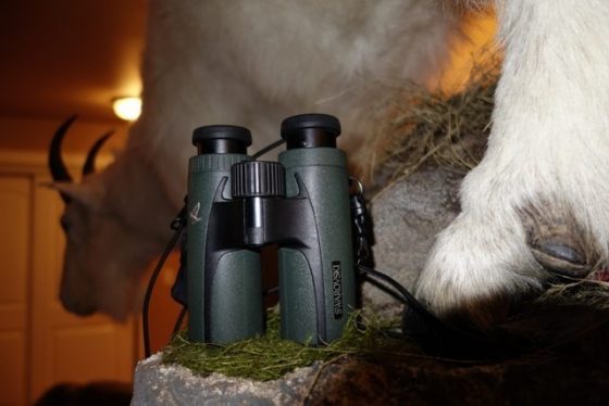 Swarovski 8x30 CL Review, by James Petker - Rokslide