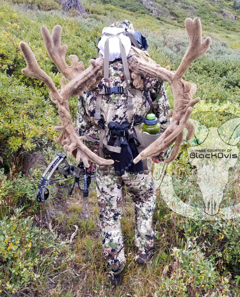 Pending World Record Archery Mule Deer - Rokslide