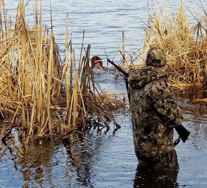 Budget Shotguns For Bird Hunting - Rokslide