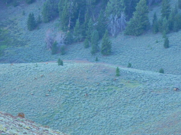 Scouting A New Area: Tips from a Pro - Rokslide