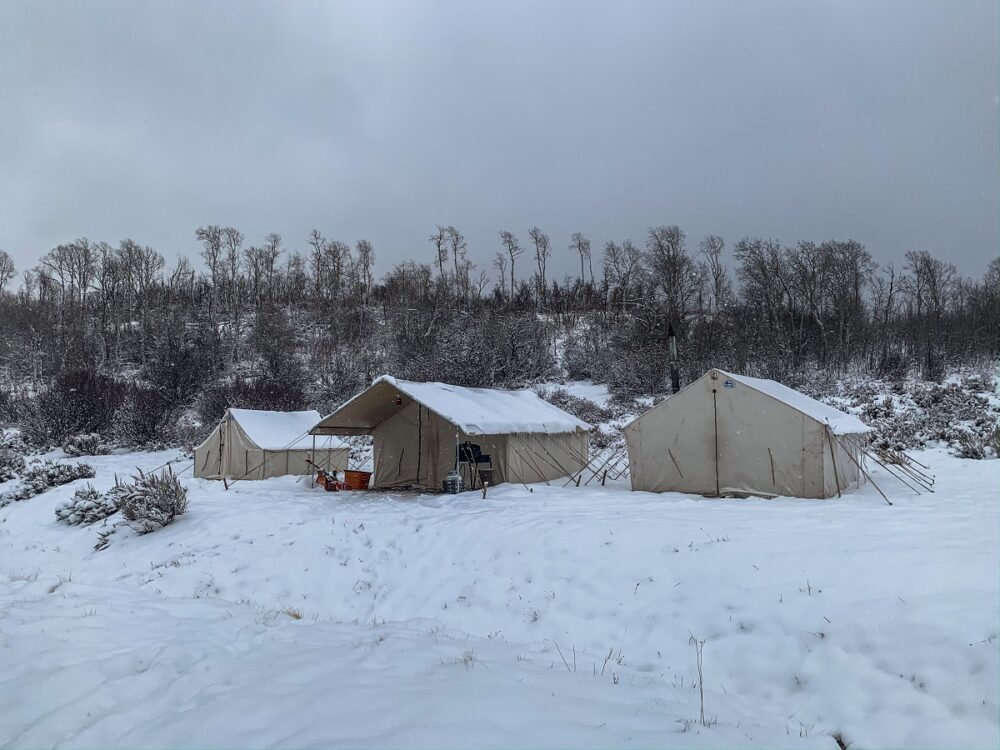 Davis Tent Go Tent Review - Rokslide