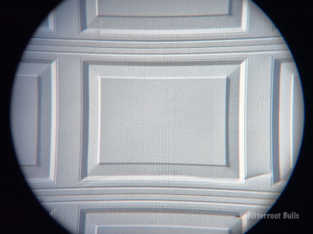 Vortex Triumph HD 10x42 Review - Rokslide