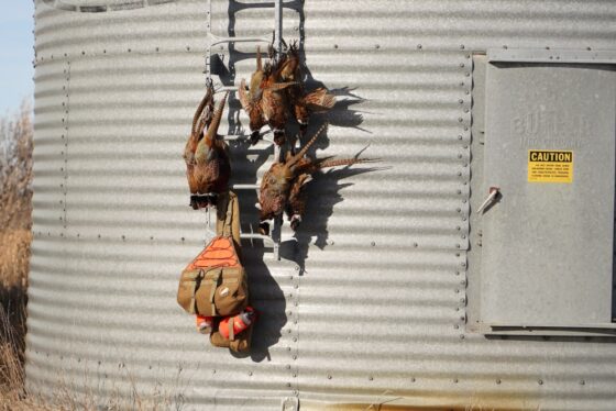 Final Rise Summit XT Vest System Review - Rokslide