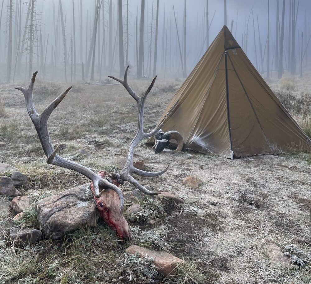 Best State for Elk Hunting: Idaho vs. Wyoming - Rokslide