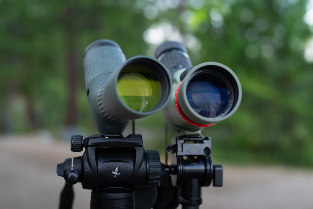 Kowa Prominar 55 TSN Review - Rokslide