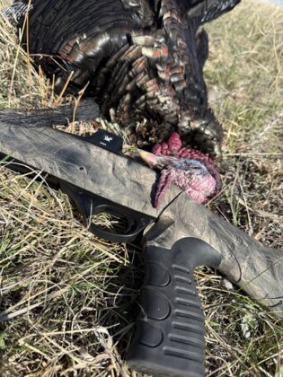 Vortex Viper Shotgun Enclosed Micro Red Dot Review - Rokslide