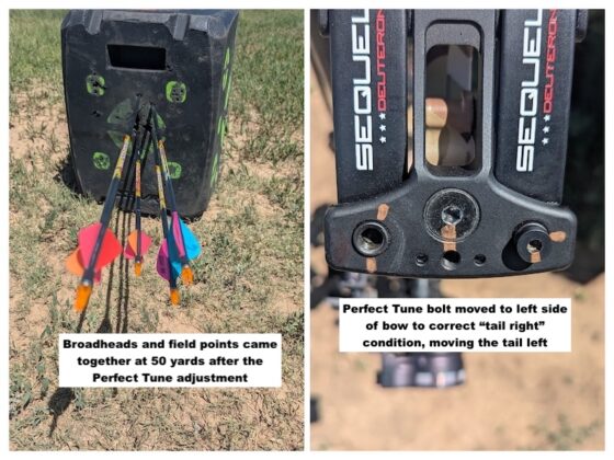 Darton Sequel ST2 35 Review - Rokslide