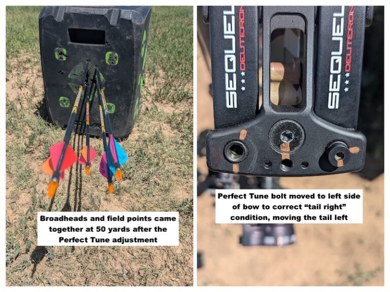 Darton Sequel ST2 35 Review - Rokslide