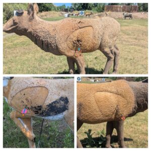 Darton Sequel ST2 35 Review - Rokslide